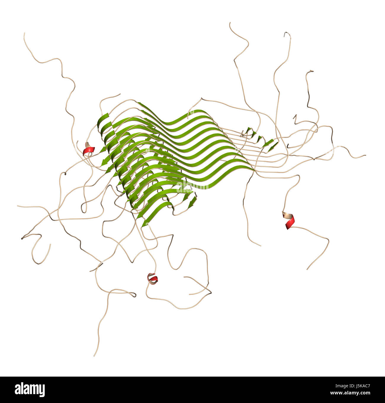 Alpha-synuclein fibril structure, determined by solid-state NMR ...