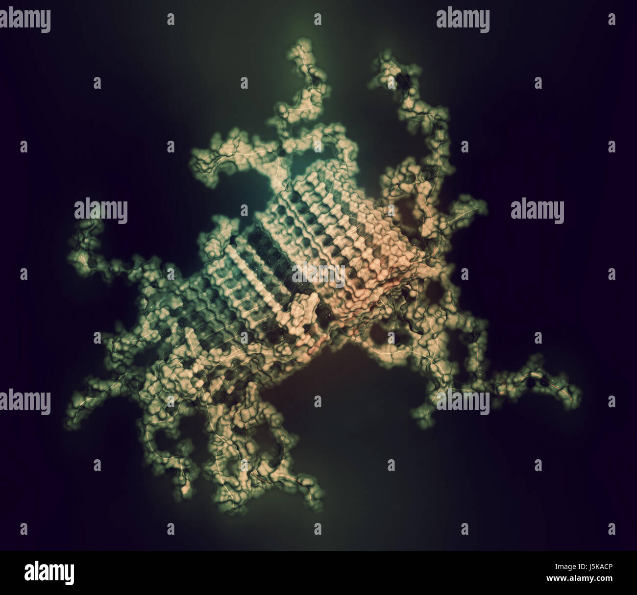 Alpha-synuclein fibril structure, determined by solid-state NMR ...