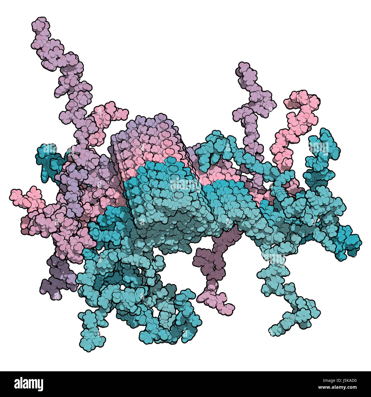 Alpha-synuclein fibril structure, determined by solid-state NMR ...