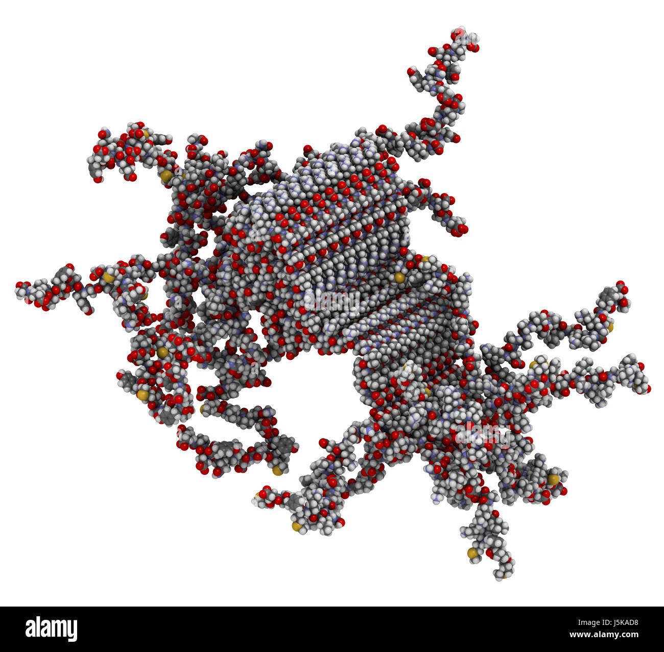 Alpha-synuclein fibril structure, determined by solid-state NMR ...