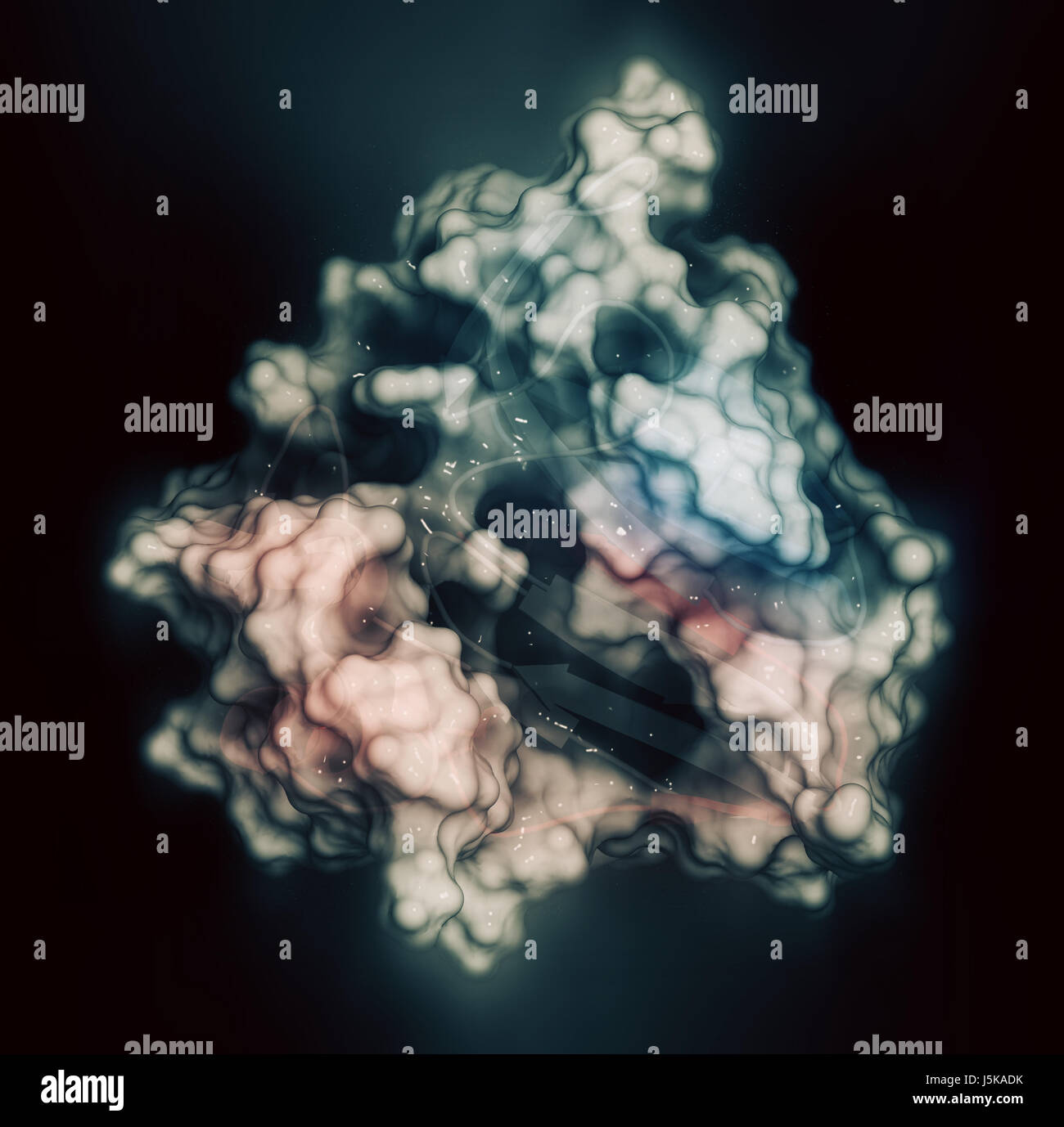 Thaumatin sweetener protein. Isolated from katemfe fruit. 3D rendering ...