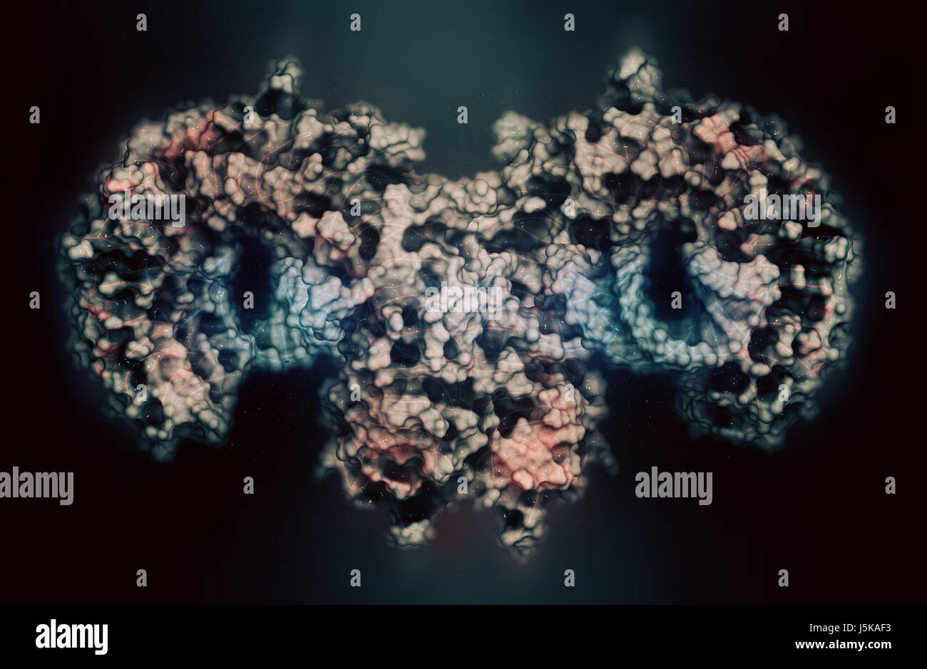 Toll-like receptor 3 (TLR3, murine, ectodomain) protein, bound to double-stranded RNA. Involved ...
