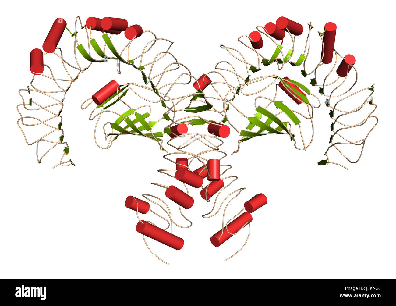 Toll-like receptor 4 (TLR4, extracellular domain) bound to ...