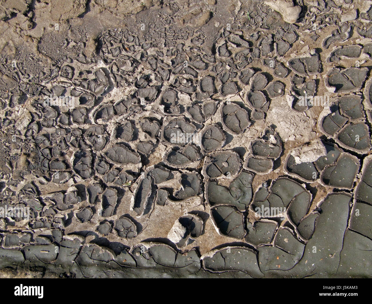 ground soil earth humus dryness contrast drought dry dried up barren ...
