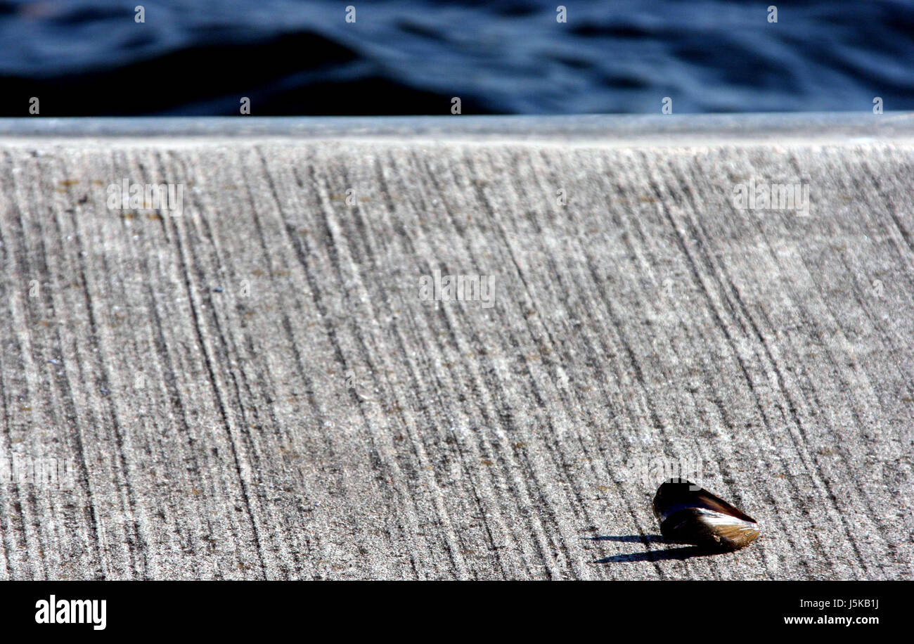 Shell bridge hi-res stock photography and images - Alamy