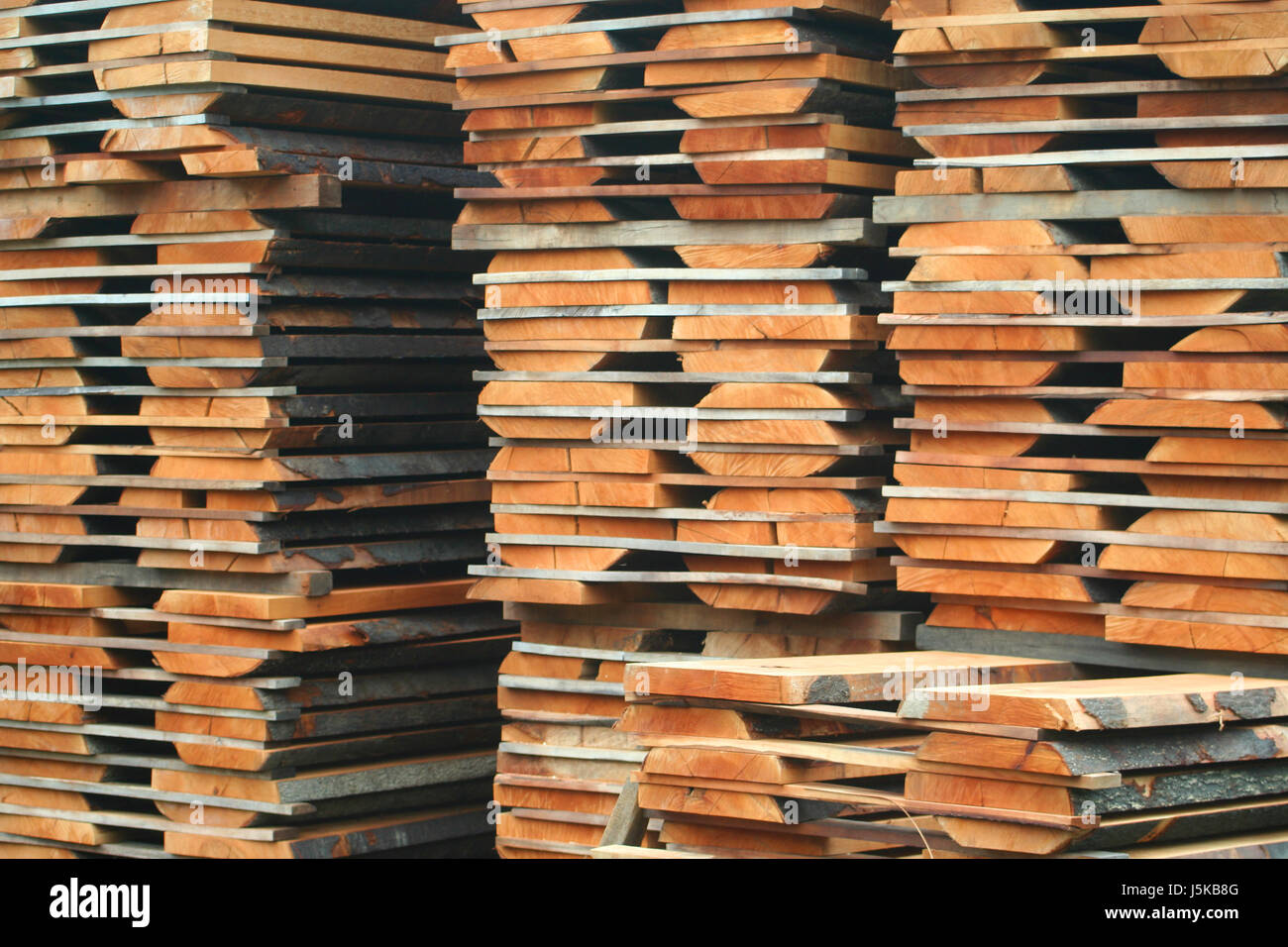 economical tree trees wood framehouse vein raw material environmental ...