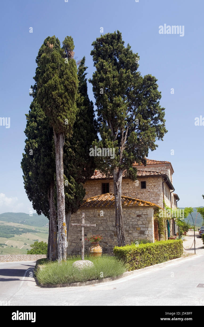 house building houses tree trees clump of trees tuscany cypresses ...