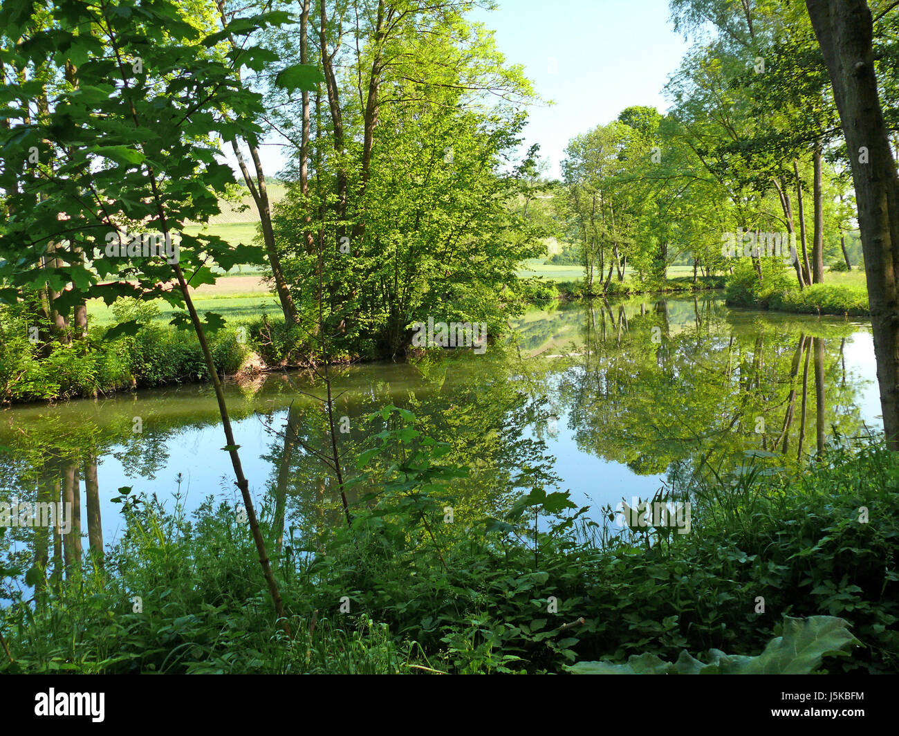 shine shines bright lucent light serene luminous tree reflection mirroring Stock Photo - Alamy