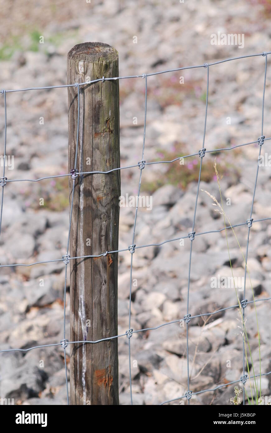 fence metal wire wire netting enclosed post locked closed ausgegrenzt ...