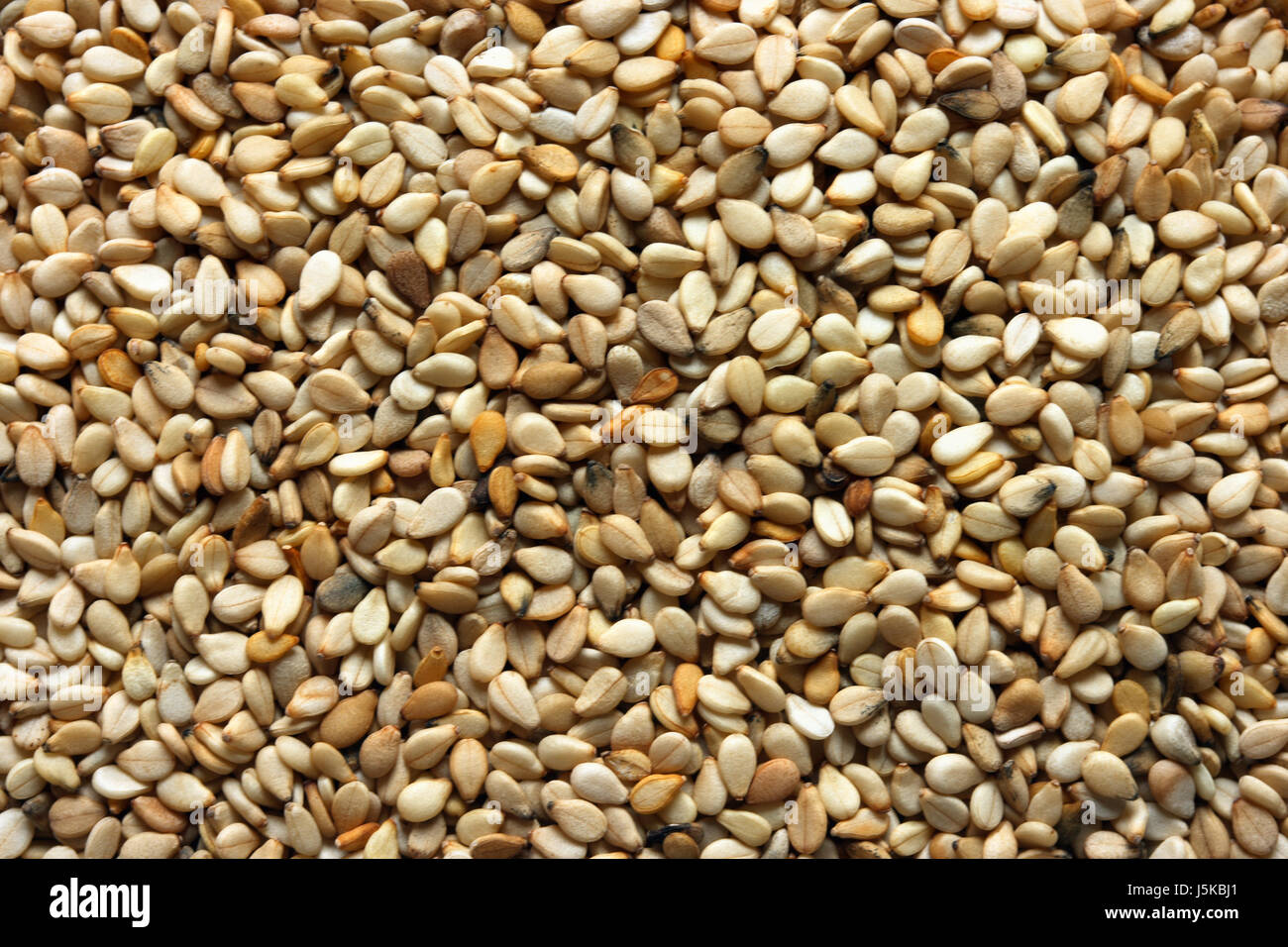 health eco sperm boil cooks boiling cooking wellness enclosure seed ...