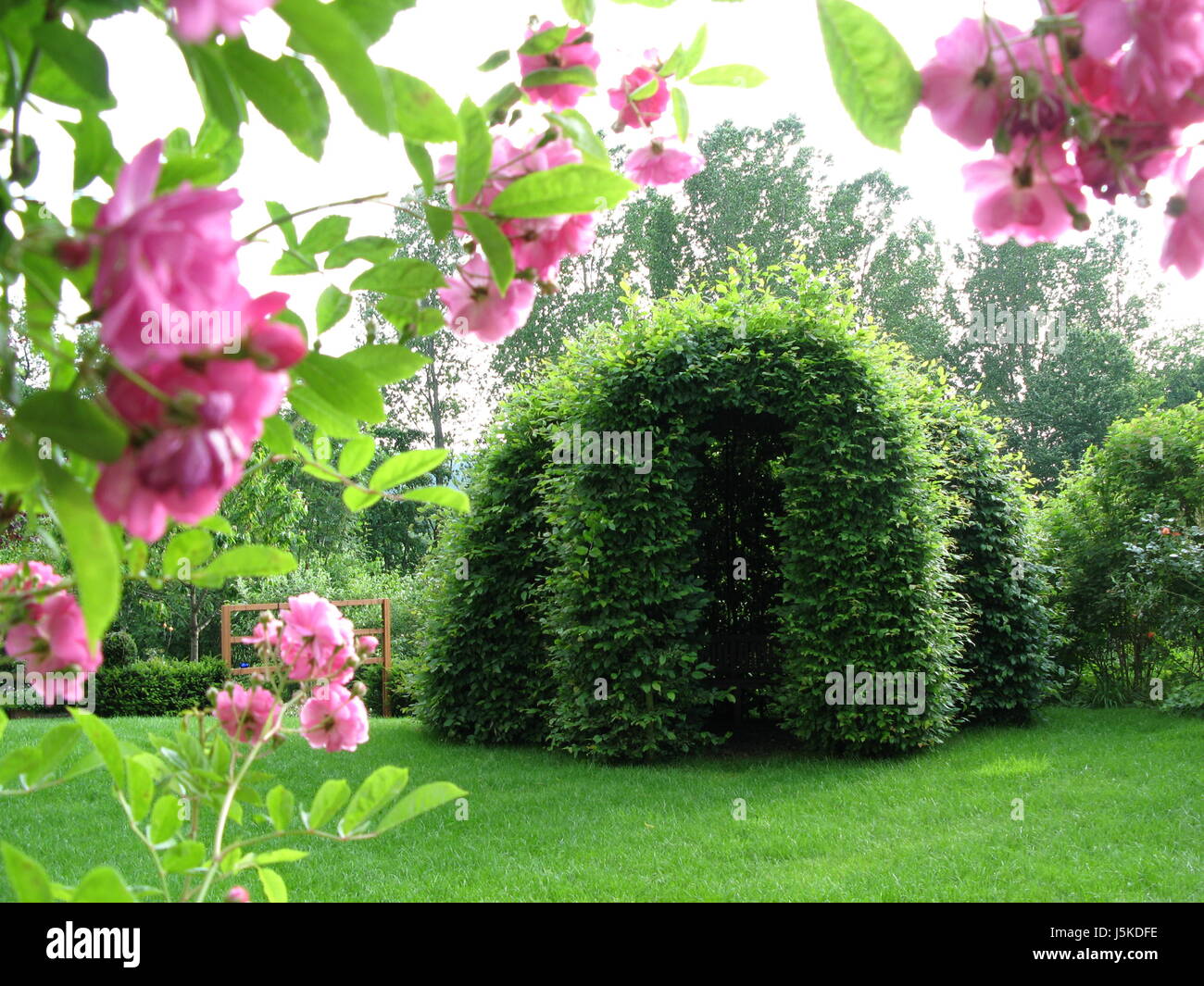 Hainbuchenlaube hi-res stock photography and images - Alamy