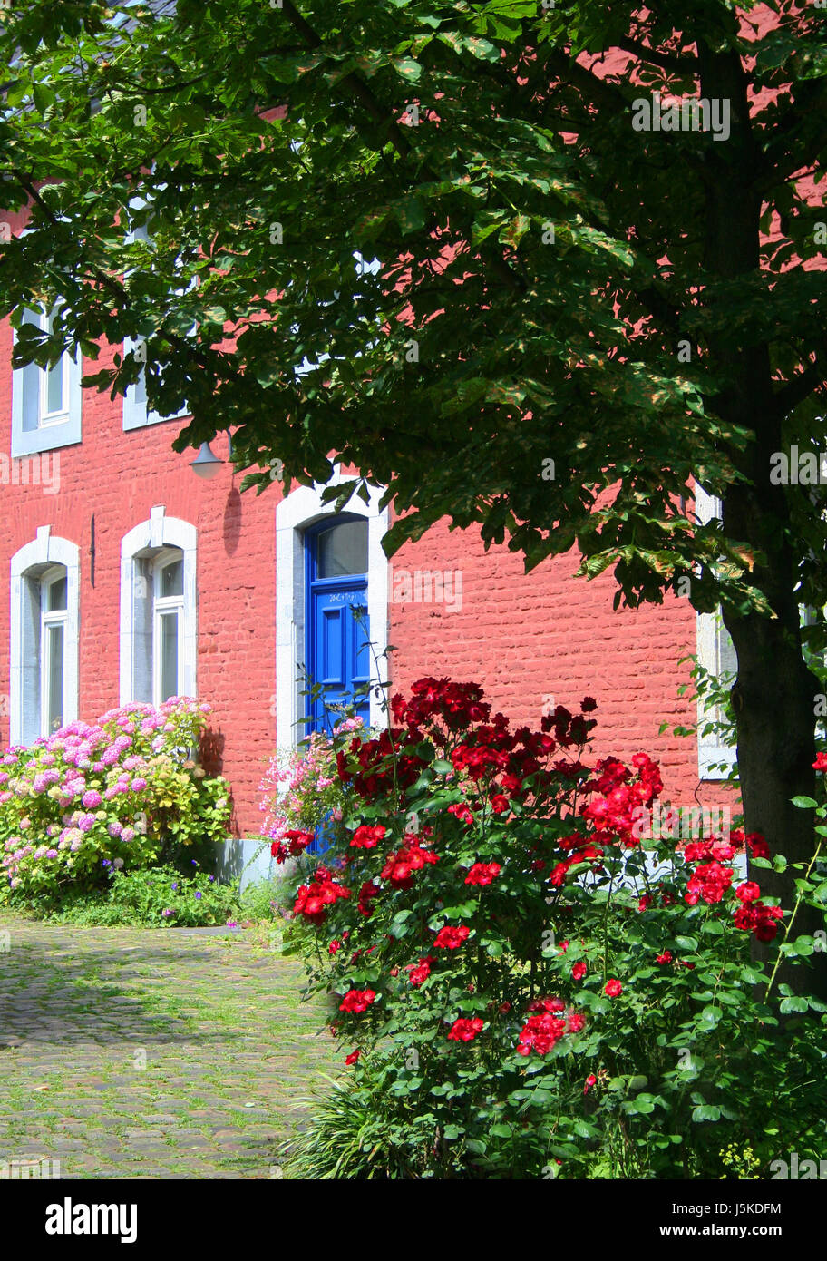 blue house home dwelling house residential building building tree green ...