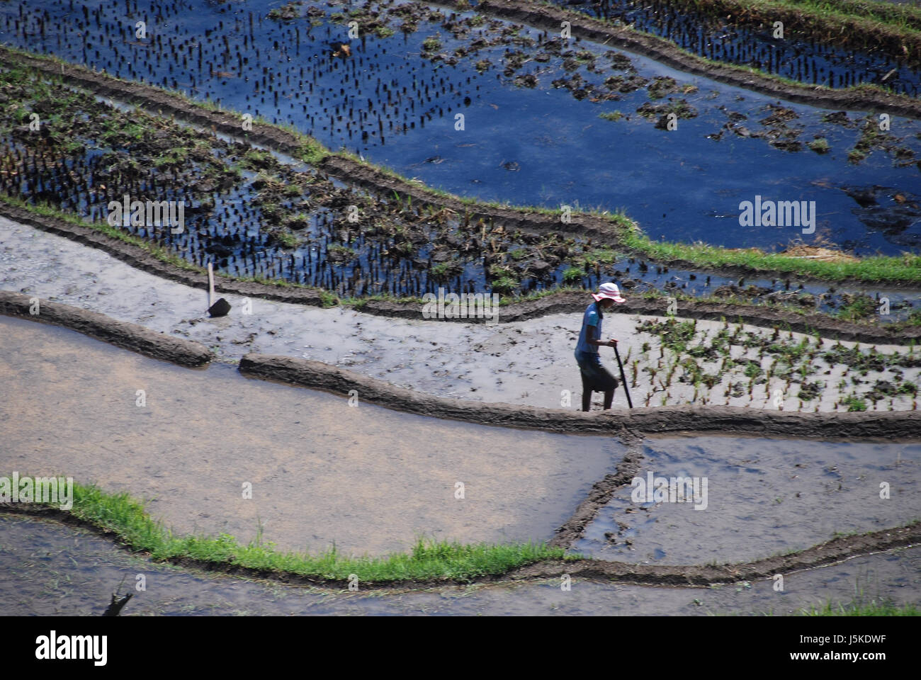 bali indonesia work job labor workers laborer worker wageworker ...