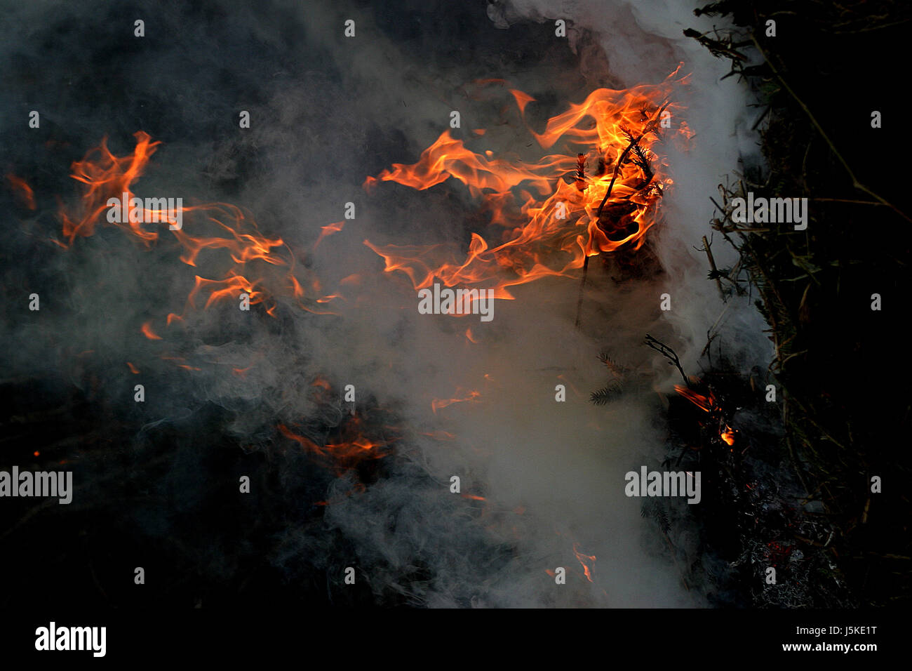smoke smoking smokes fume danger orange branches fire conflagration ...