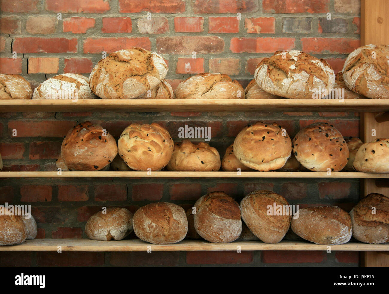 bread shelves variety basic foods crisped crisp complete perfect ...