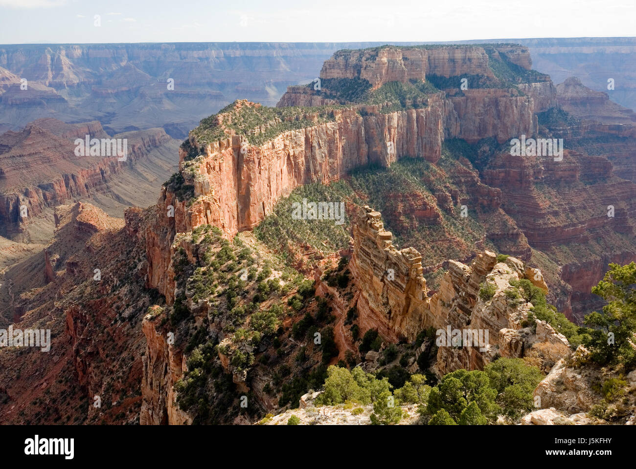 grand canyon. north rim. cape royal Stock Photo - Alamy