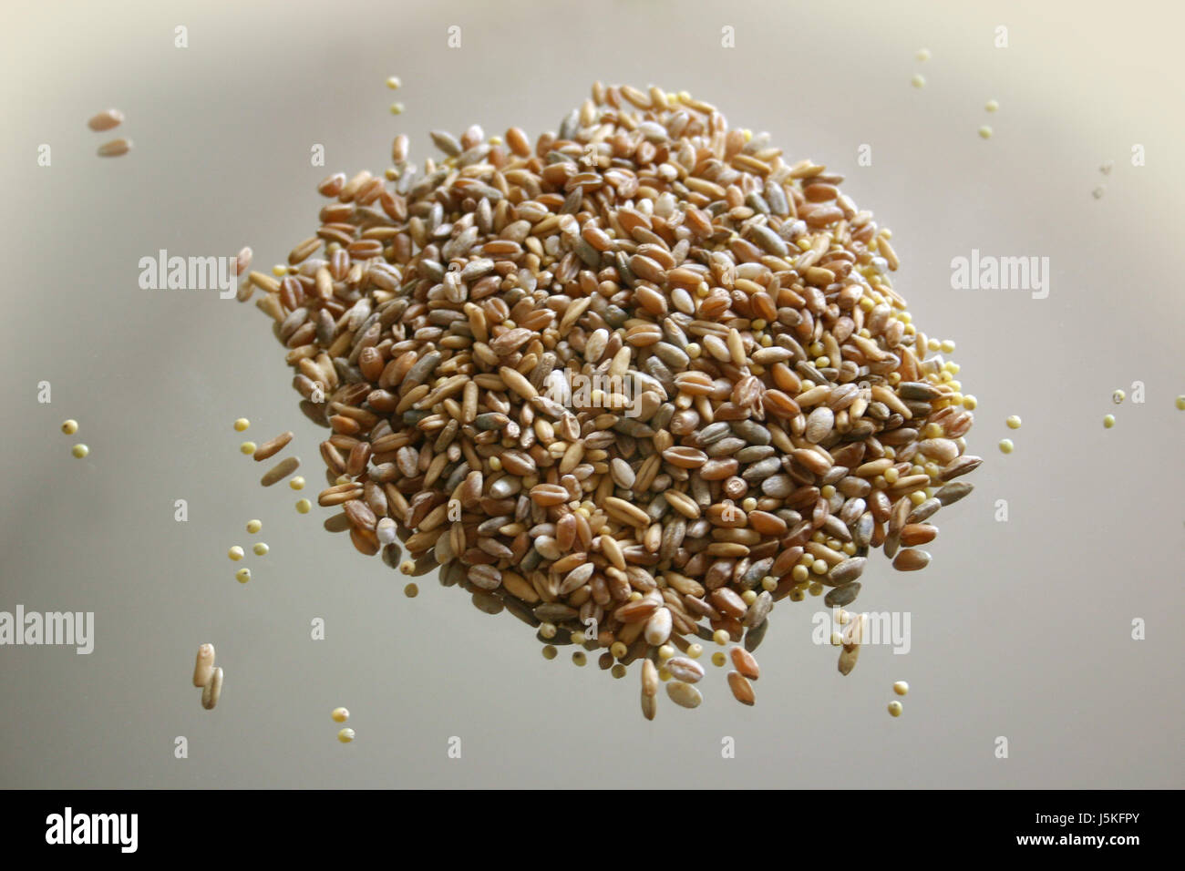 Bruised grain hi-res stock photography and images - Alamy