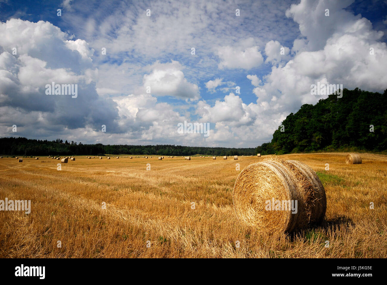 Sweden fields hi-res stock photography and images - Alamy