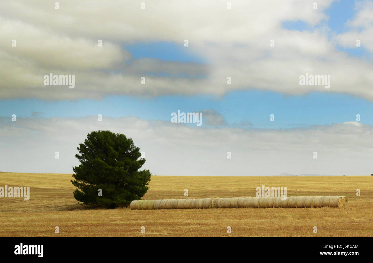 Australian farm scene hi-res stock photography and images - Alamy