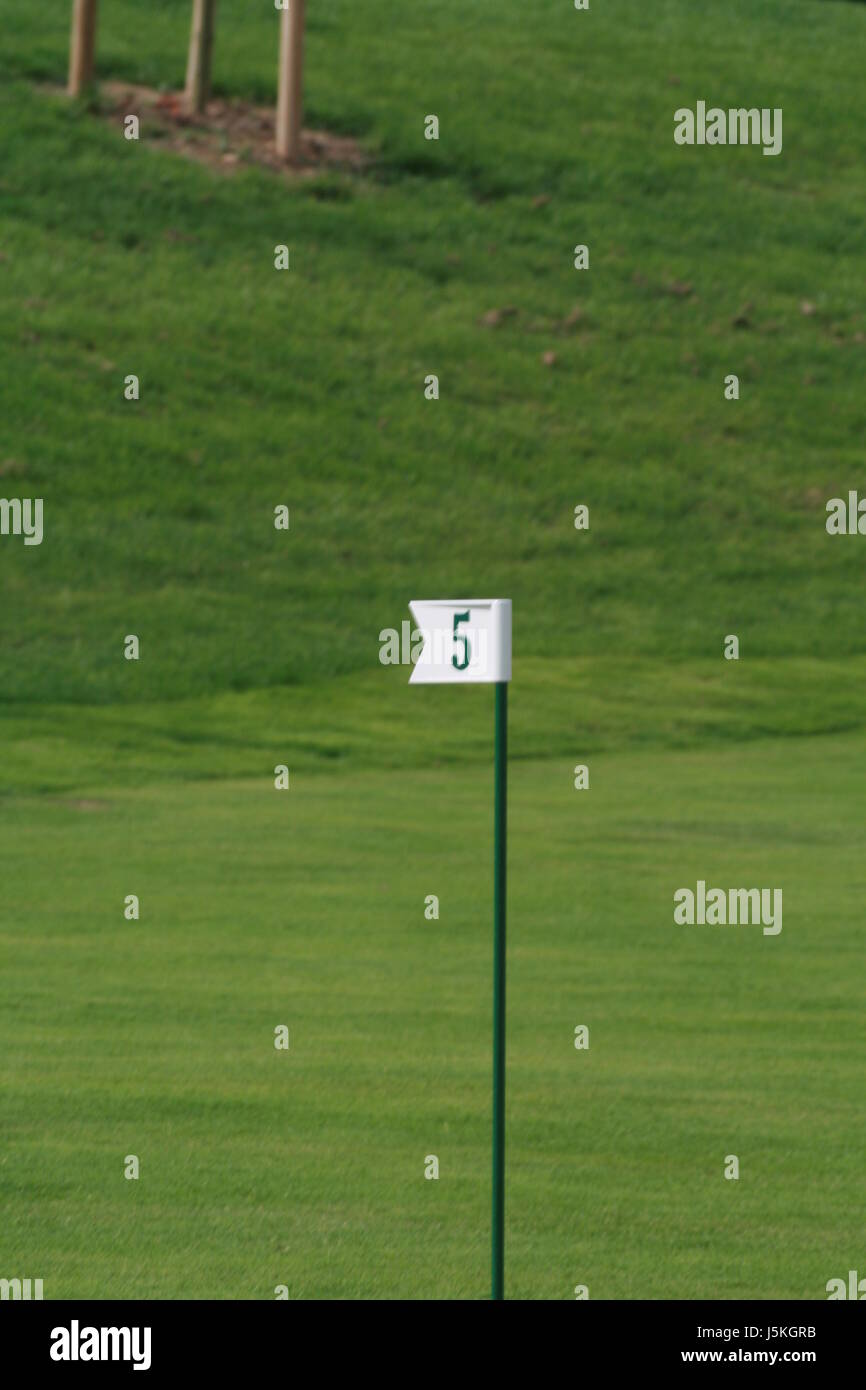 sport sports game tournament play playing plays played ball green gulf ...