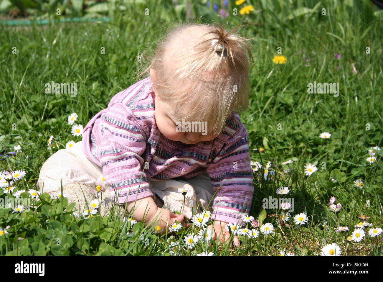 female green look glancing see view looking peeking looking at small ...