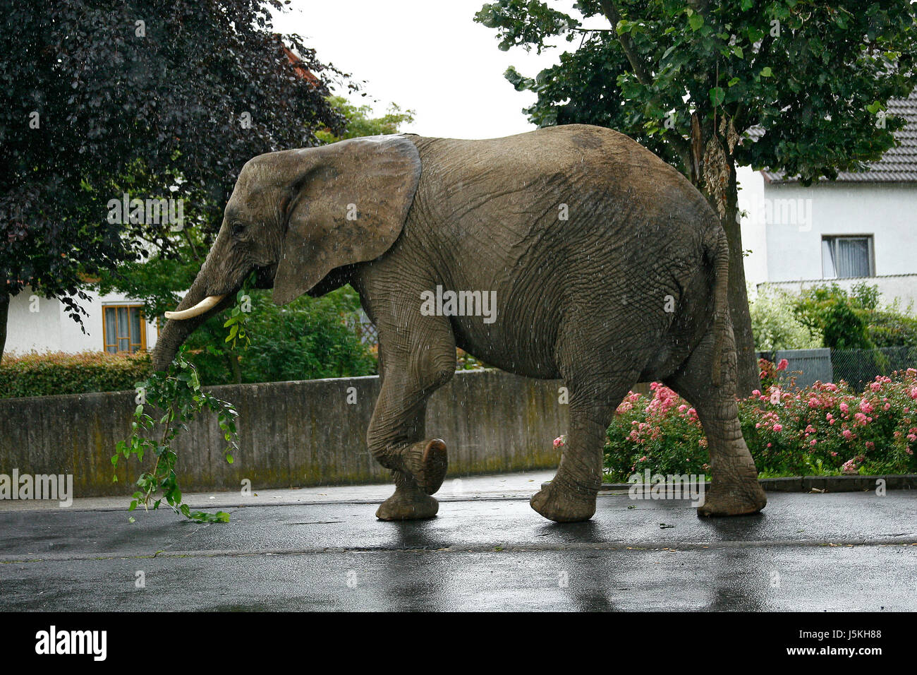 Viaticum hi-res stock photography and images - Alamy