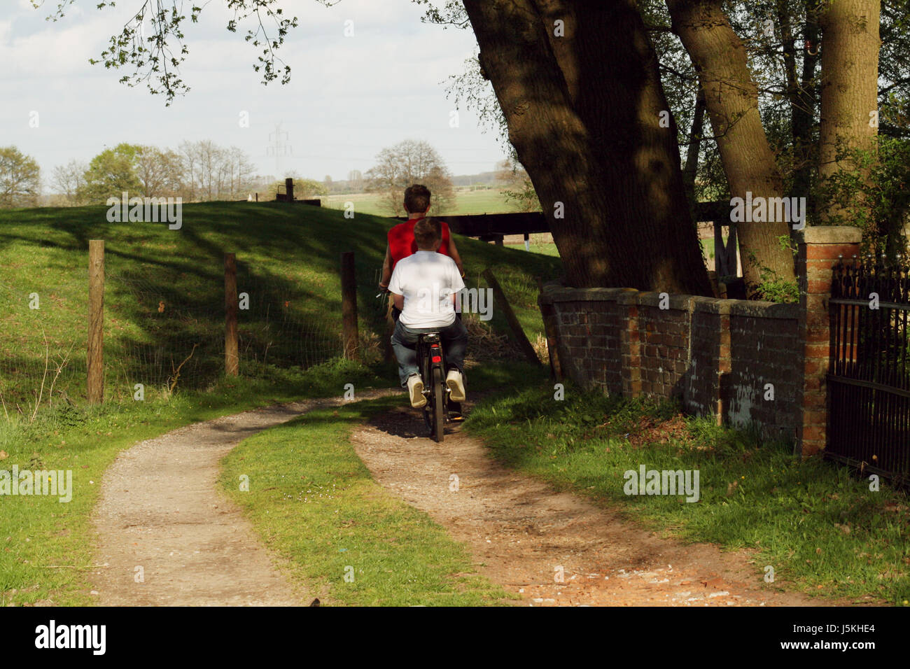 drive danger tree fear fence ferries bike bicycle cycle path way ...