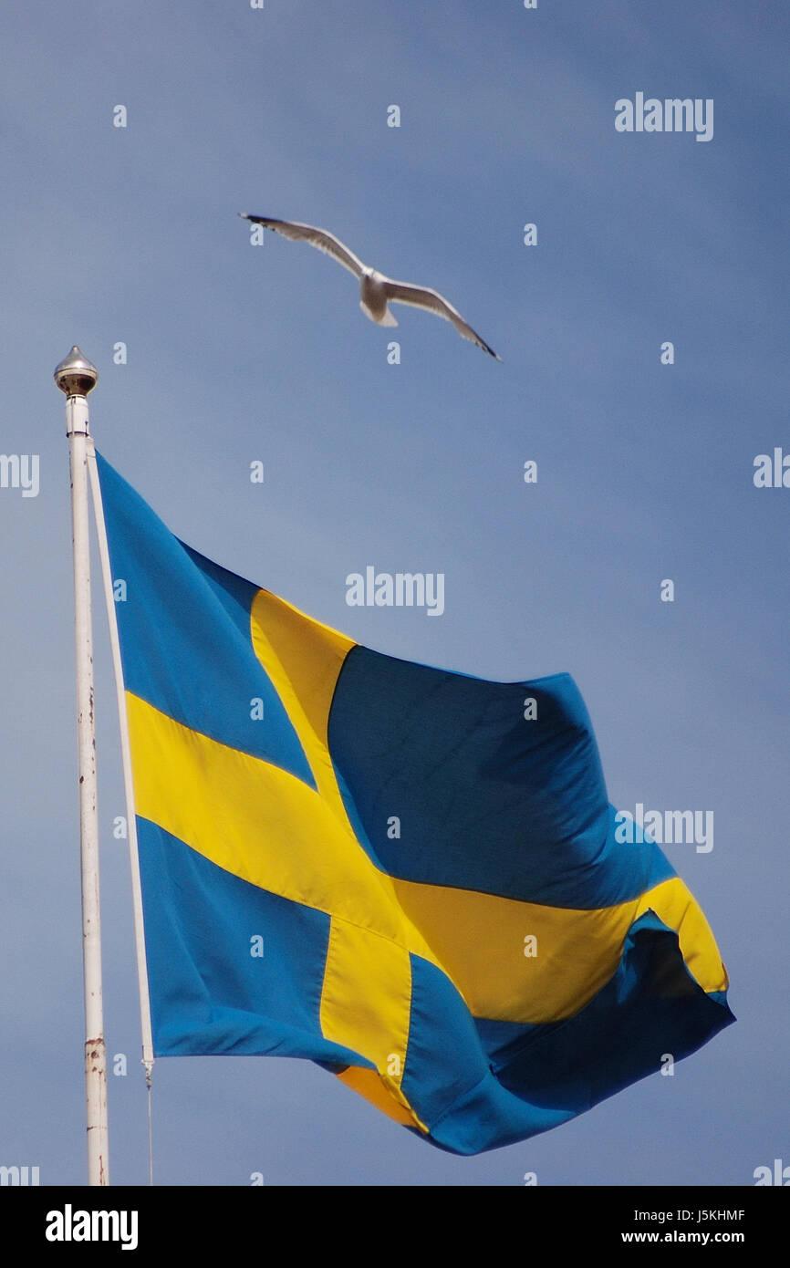 flag with seagull Stock Photo - Alamy