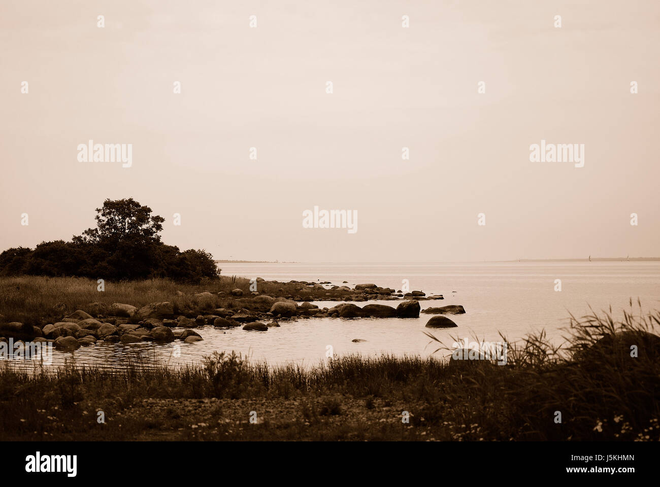 beach seaside the beach seashore sweden water baltic sea salt water sea ...