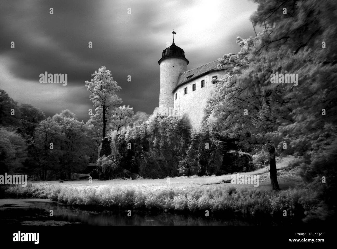 house building tower tree trees stone window porthole dormer window ...
