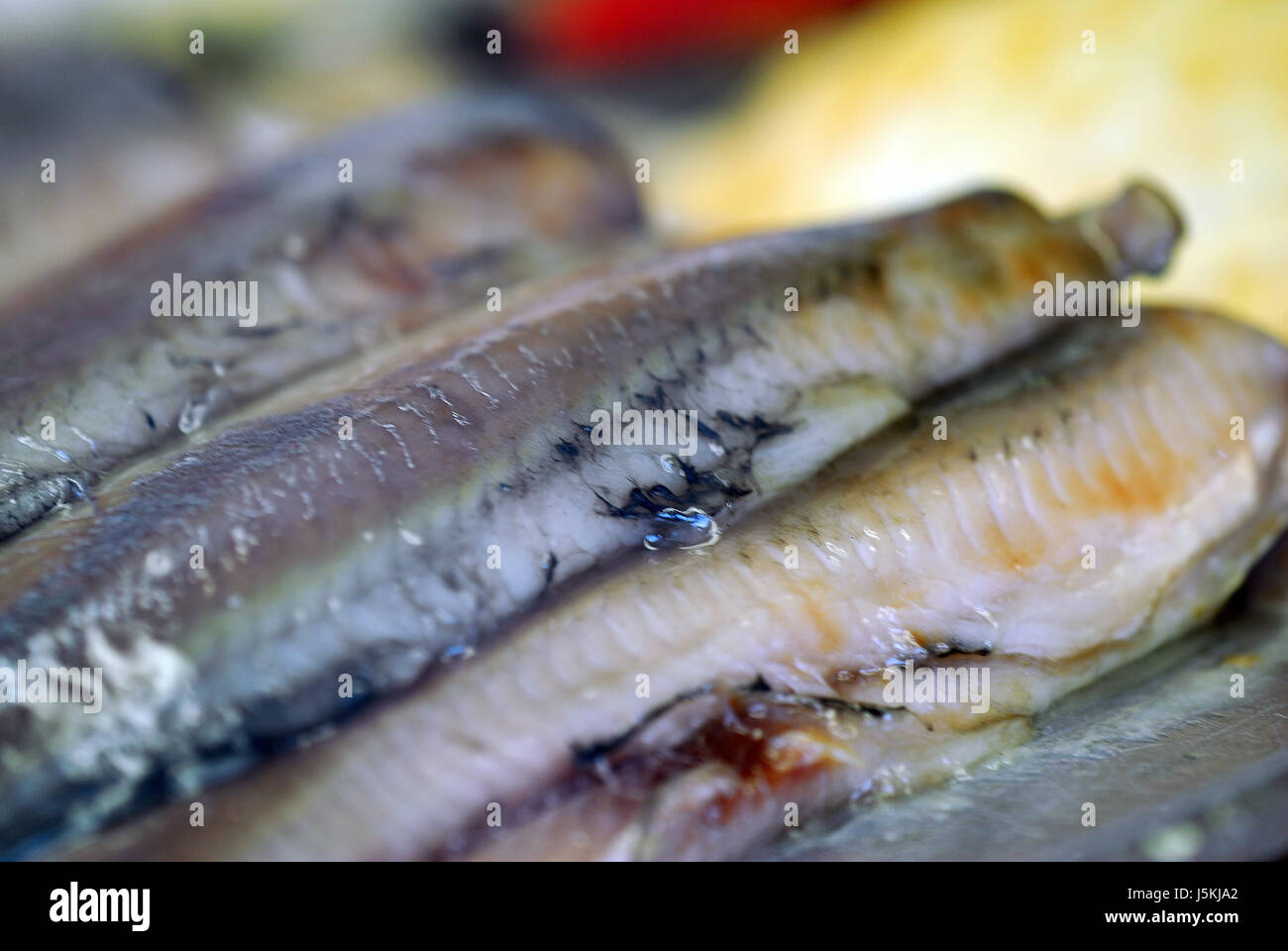 herring inlaid marinated fish dish fish matjes matjesfilet matjesfilets ...