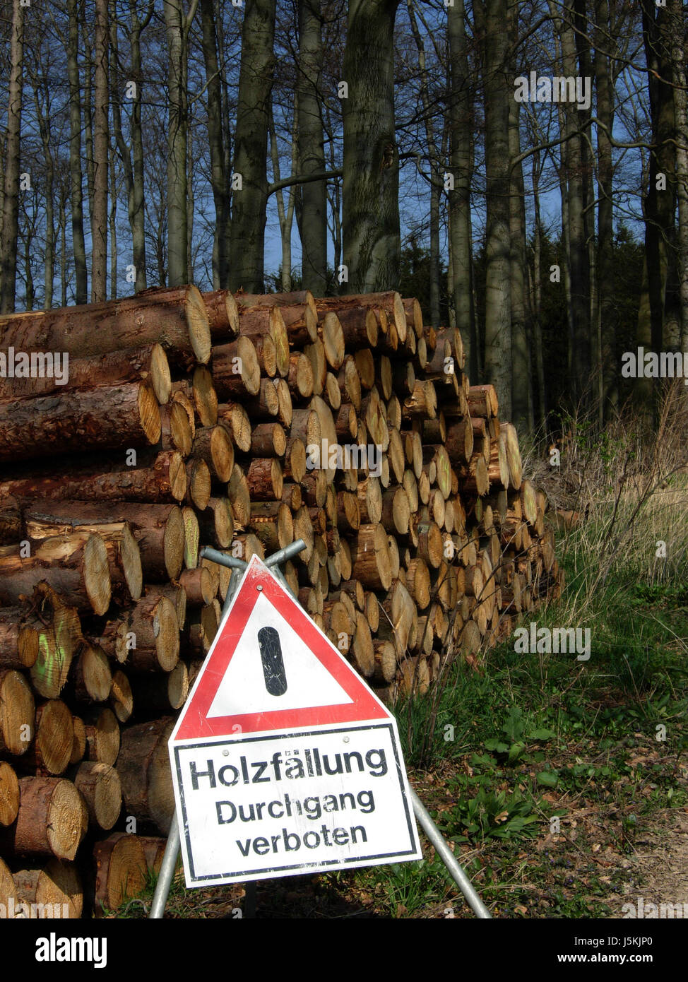 sign signal tree wood trunk caution attention snag hint clearing ...