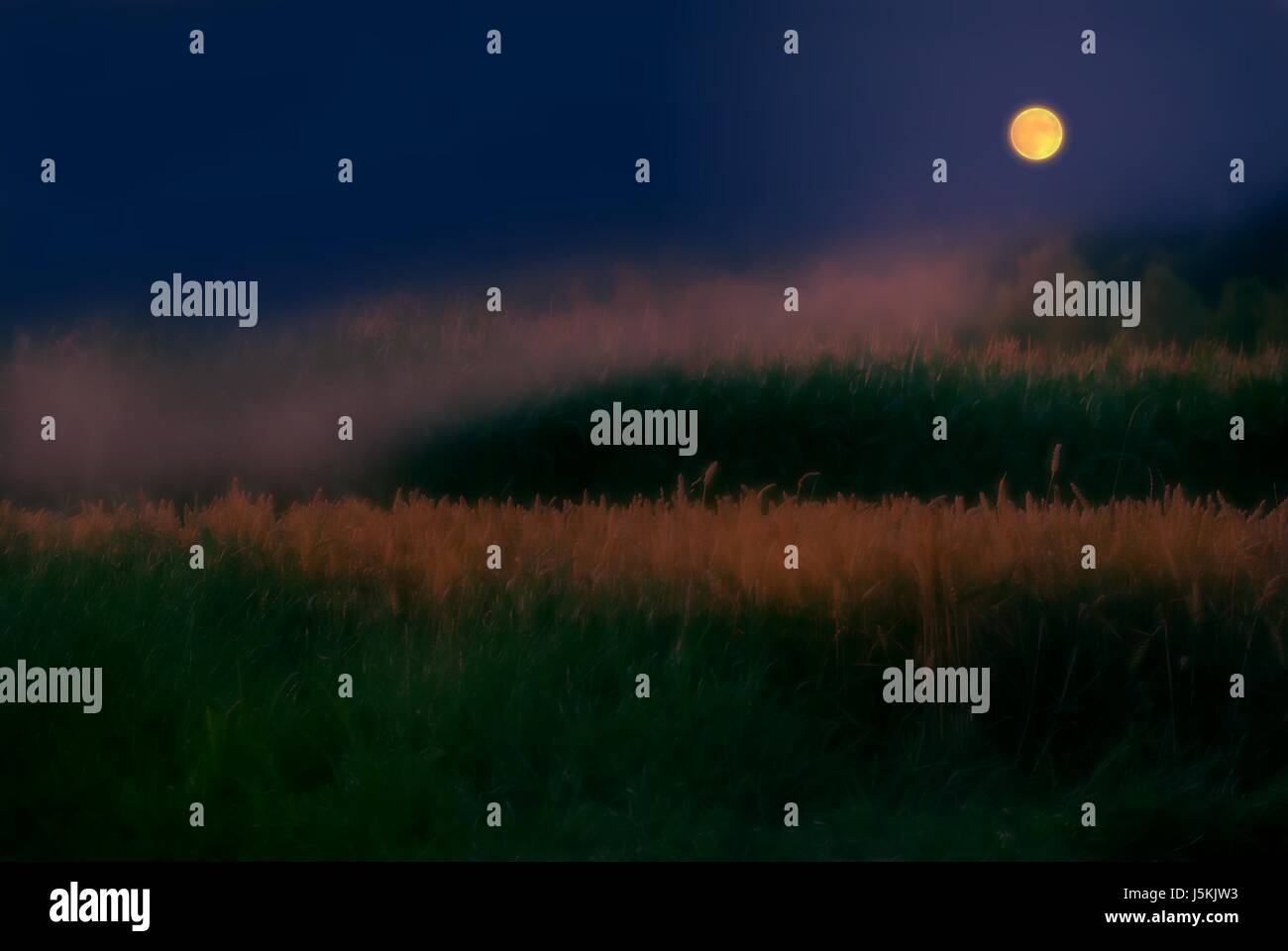 night over the fields Stock Photo - Alamy