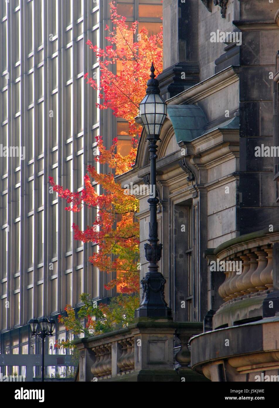 autumn in berlin Stock Photo - Alamy