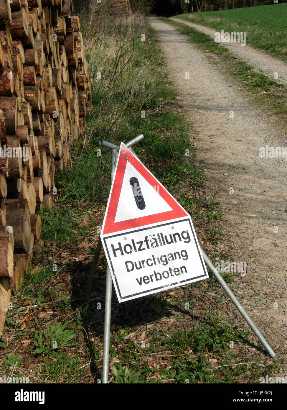 Mechanized felling hi-res stock photography and images - Alamy