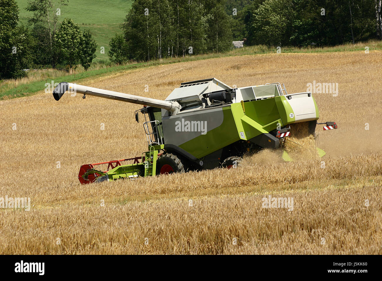food aliment fodder engine drive motor field ear ears cultivation cut ...