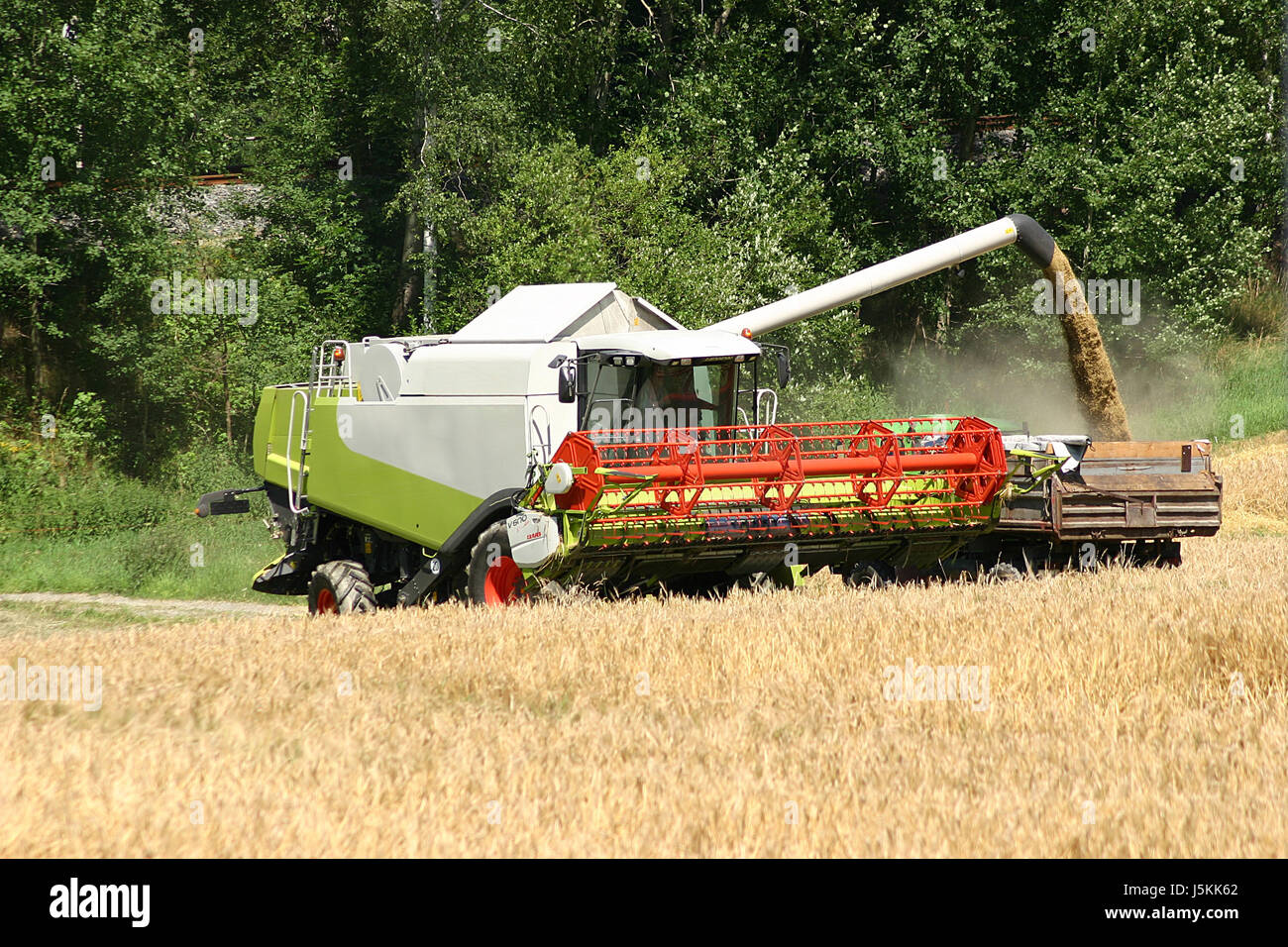 food aliment fodder engine drive motor field ear ears cultivation cut ...