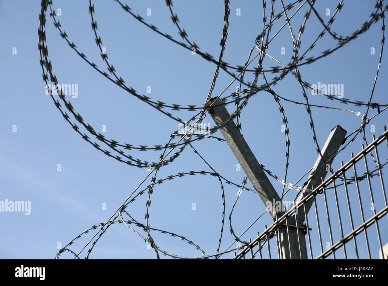 Barbed wire entanglement hi-res stock photography and images - Alamy