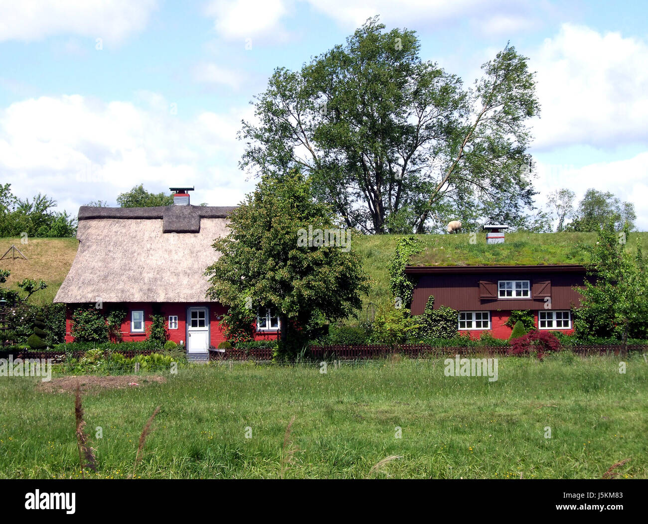 house home dwelling house residential building building bucolic cottage ...