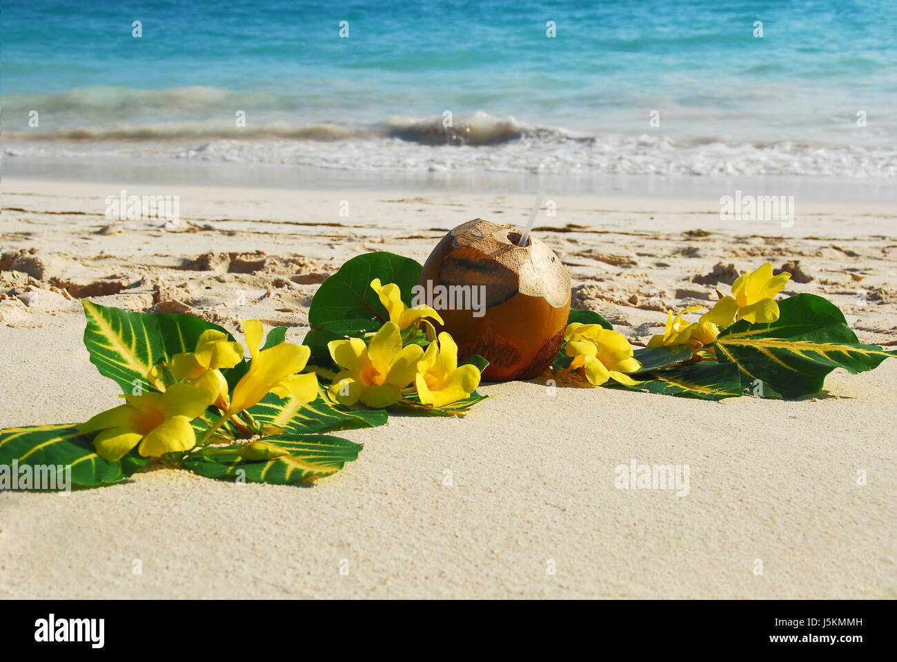holiday vacation holidays vacations leaves flower flowers plant beach ...