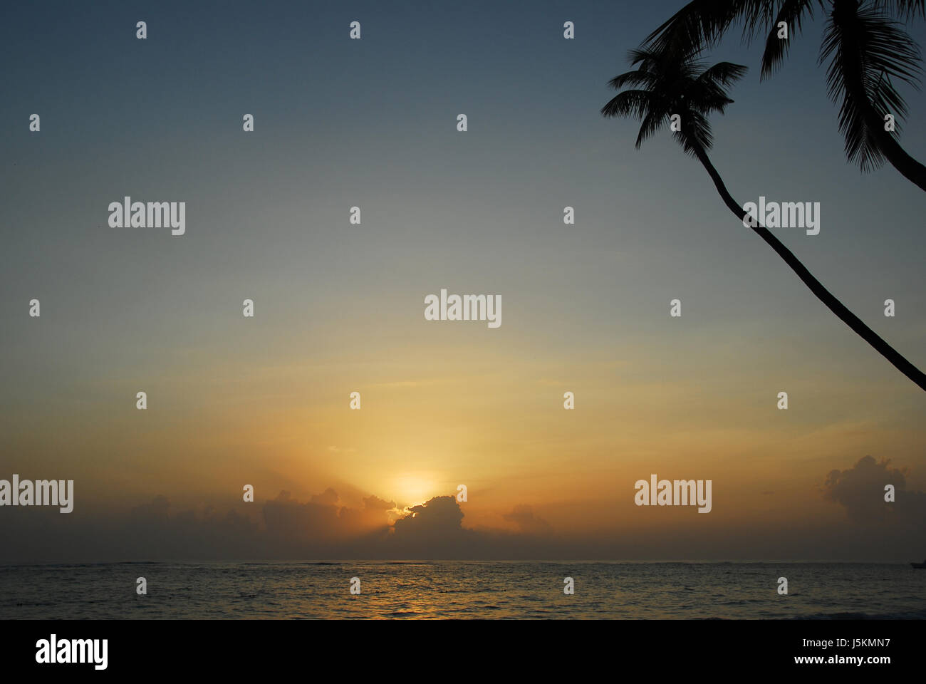 holiday vacation holidays vacations night nighttime beach seaside the ...