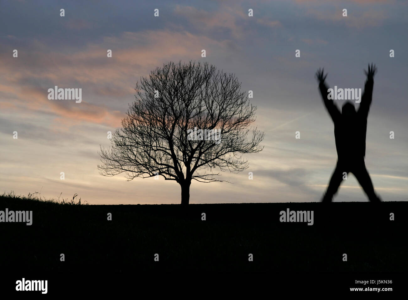 sport sports tree trees horizon sunset human human being person sporty ...
