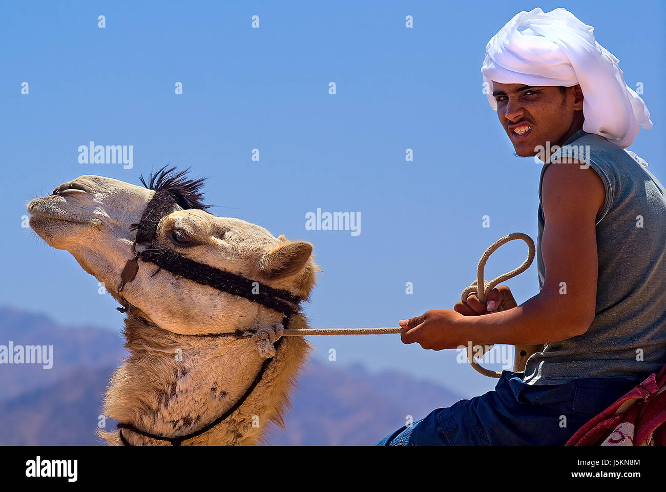 the camel rider Stock Photo - Alamy