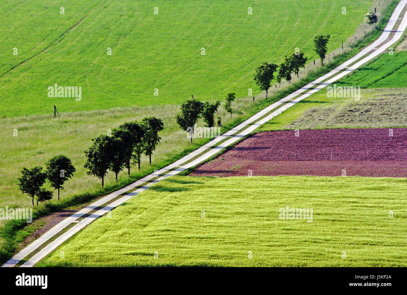 agriculture farming dirt road field fields meadows acre wheat diagonal ...