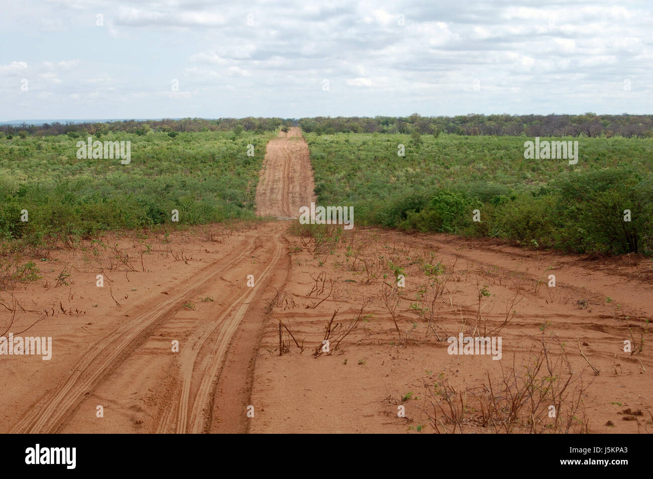 africa sense cross country vehicle bush track sandy wheel tracks tracks ...