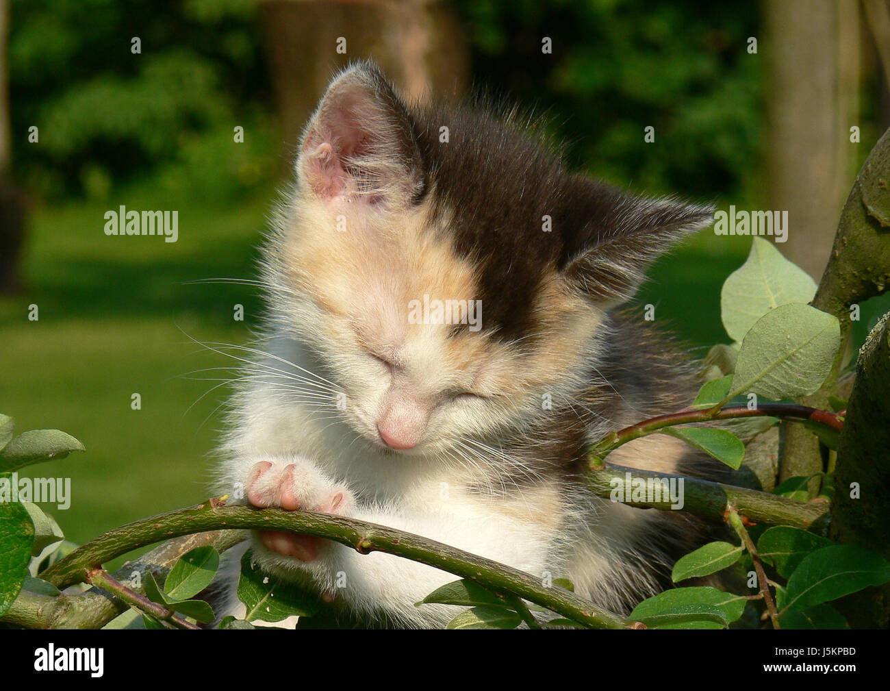 Ste tired hi-res stock photography and images - Alamy