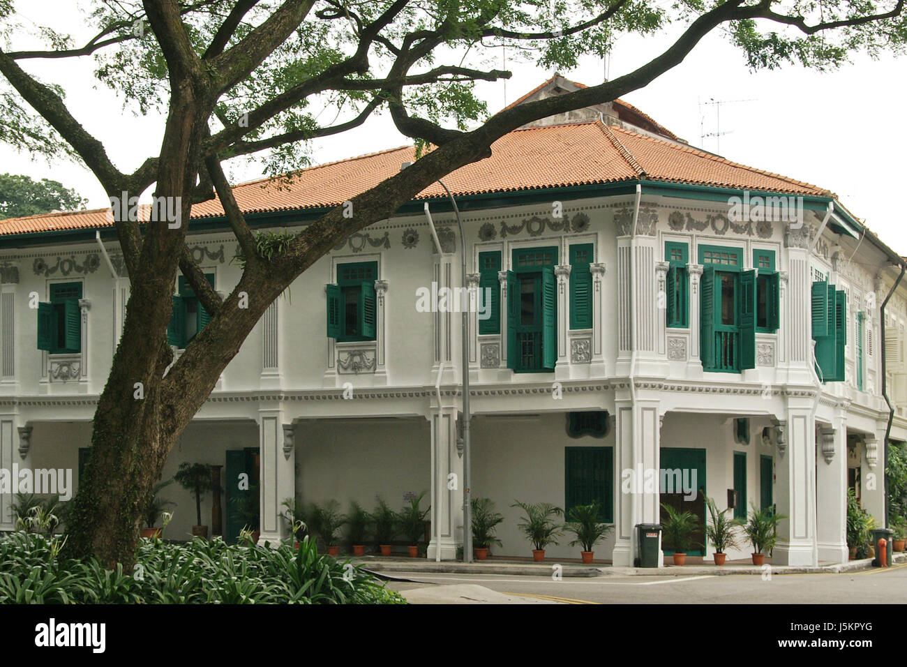 house building shine shines bright lucent light serene luminous plant ...