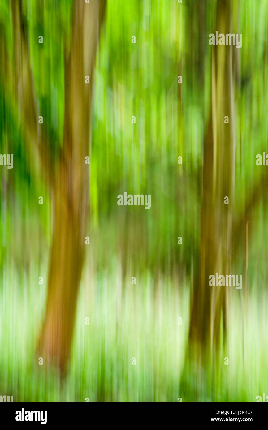 Ambiguous hi-res stock photography and images - Alamy