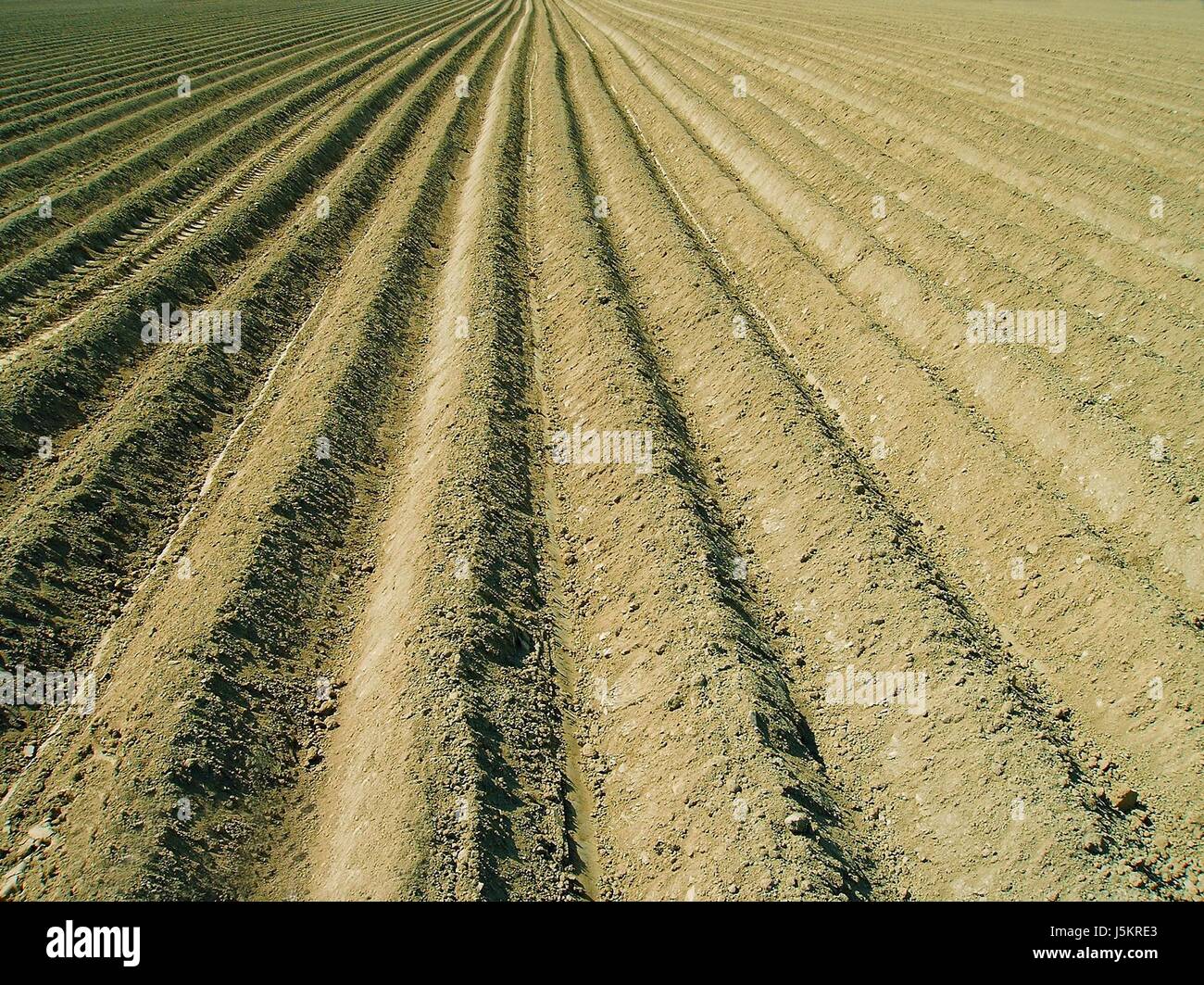 Ackerfurchen agriculture hi-res stock photography and images - Alamy
