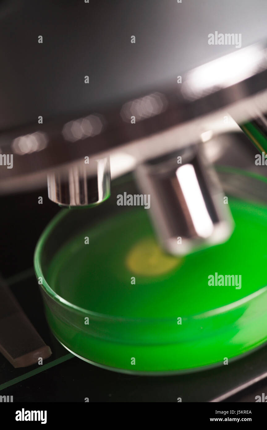 research drugs enlarge test tube means agent medicine drug remedy ...